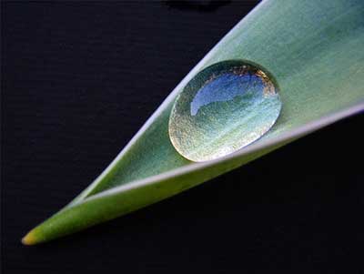 30 Beautiful Raindrops Photography - GeekSucks